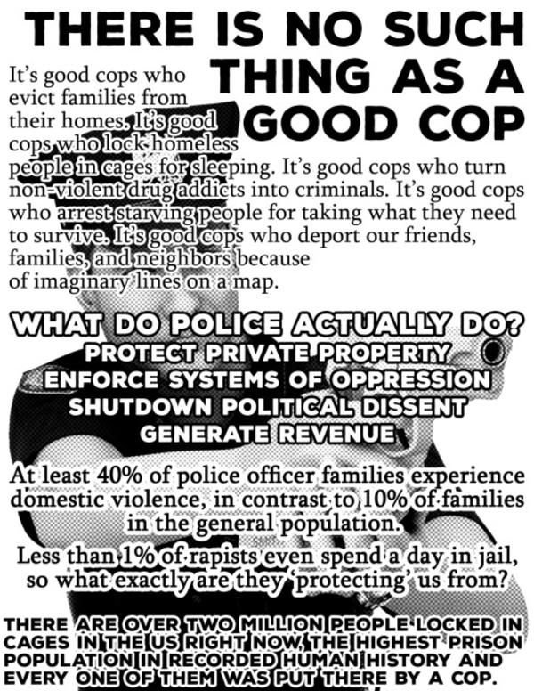 Apparently, enforcing the law by preventing people from stealing or ...