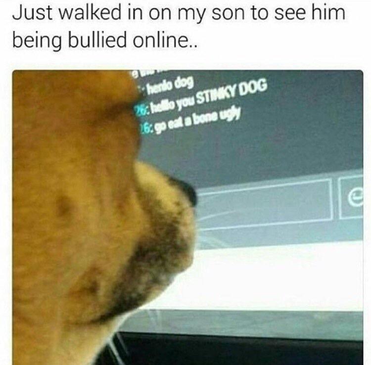 Cyberbullying Variation | Henlo | Know Your Meme