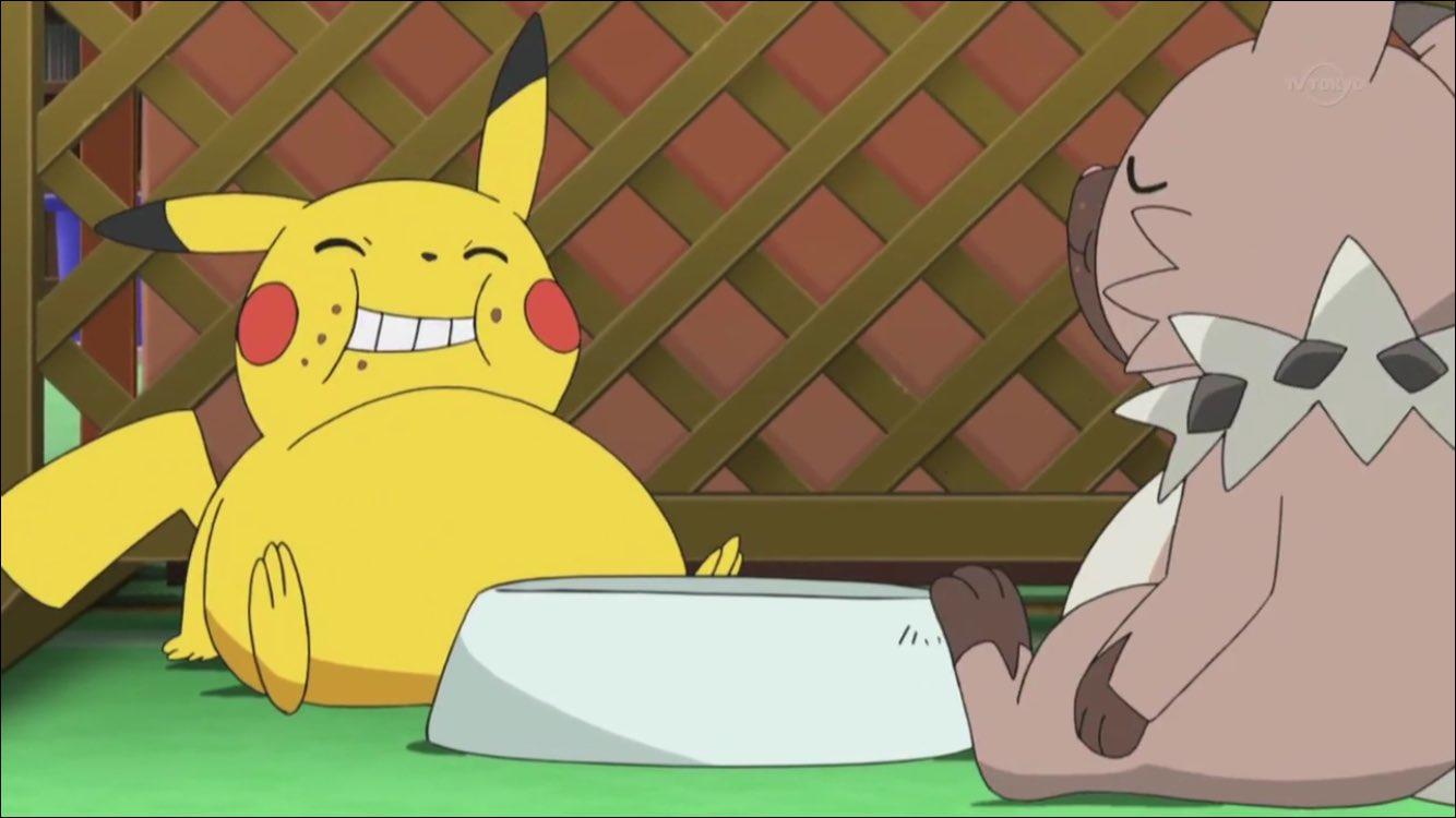 Fat Pikachu and Rockruff | Pokémon Sun and Moon | Know Your Meme