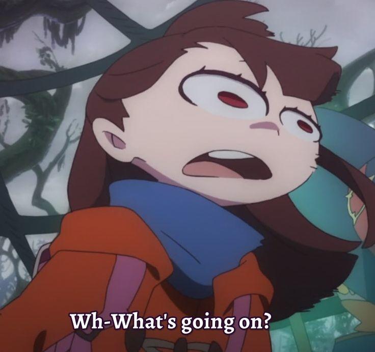 What's going on | Little Witch Academia | Know Your Meme
