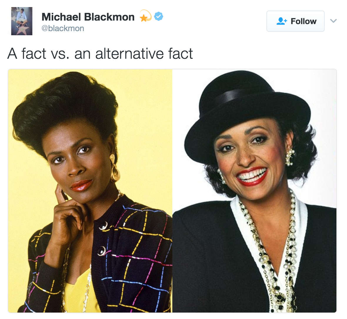 Two Aunt Vivs | #AlternativeFacts / #SpicerFacts | Know Your Meme
