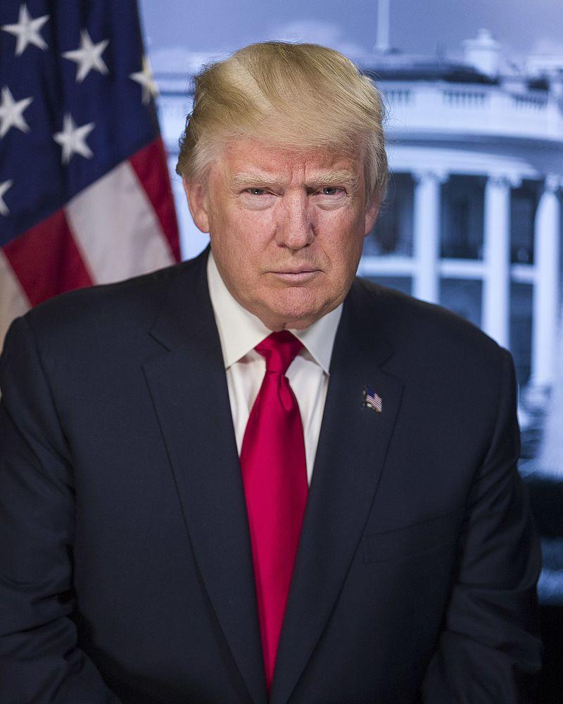 Donald Trump's Official Presidential Portrait, | Donald Trump | Know ...