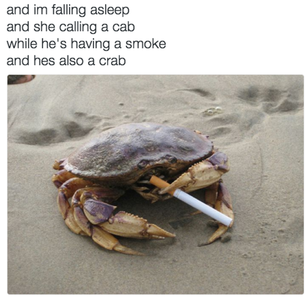 He's also a crab | Mr. Brightside | Know Your Meme