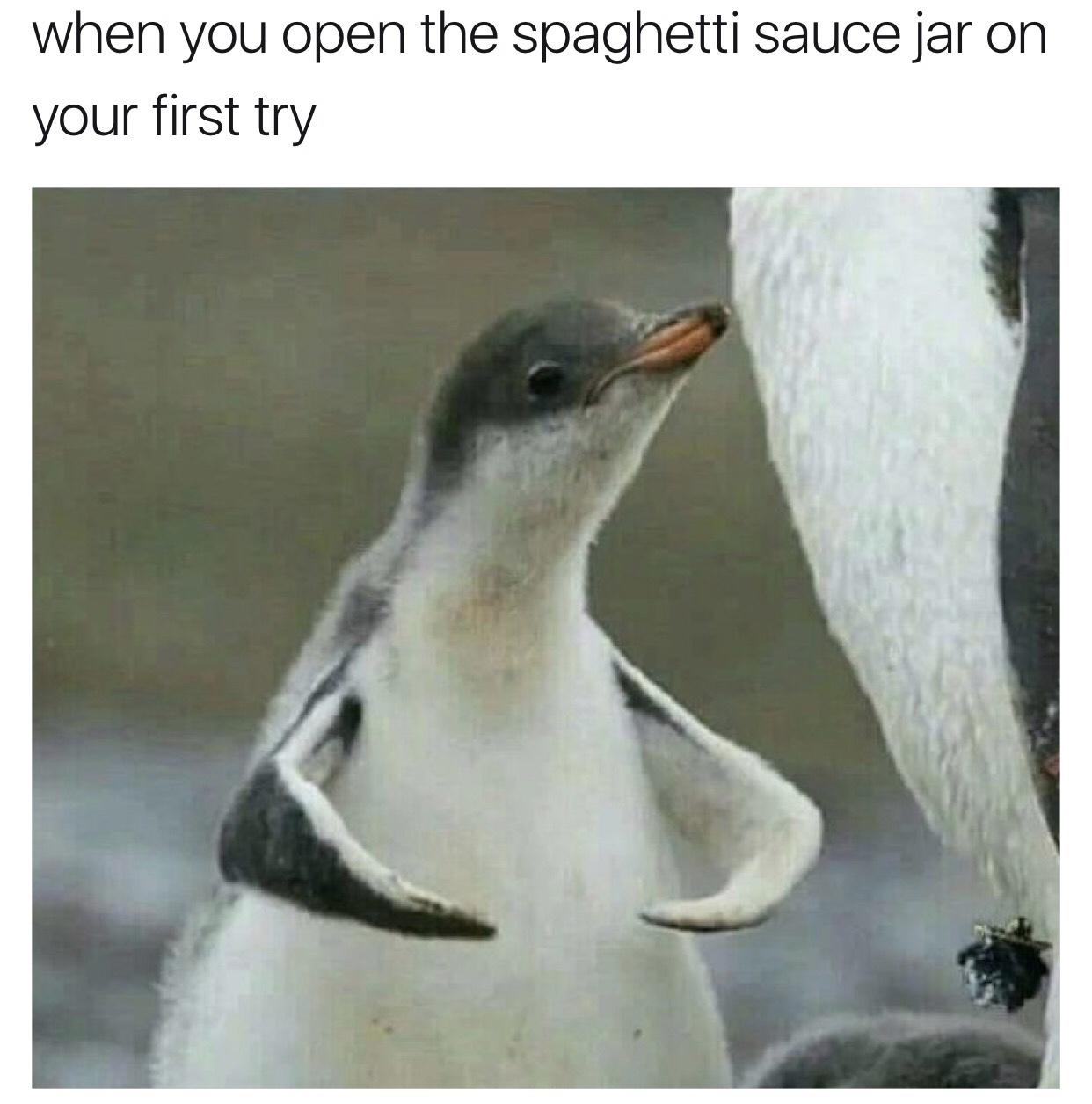 when you open the spaghetti sauce jar on your first try | Penguins ...