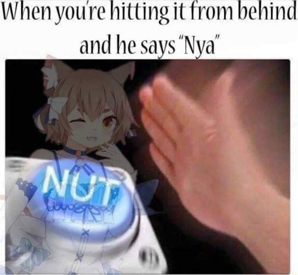 Catboy Nut Button | Nut Button | Know Your Meme