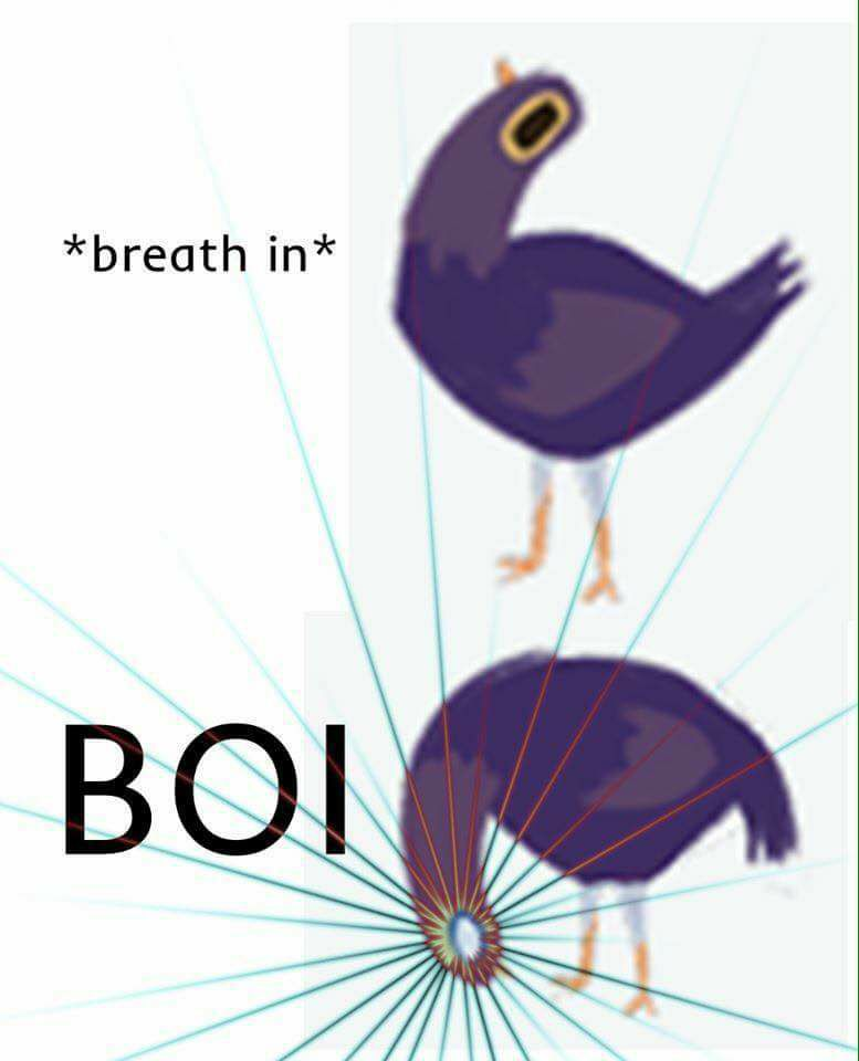 Breath In Boi | Trash Doves | Know Your Meme