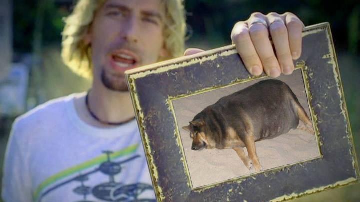 Look at this Super Gordito | El Perrito Super Gordito | Know Your Meme