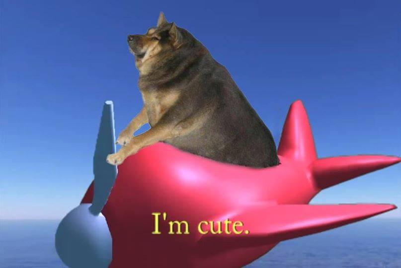 Gordito of Wisdom | El Perrito Super Gordito | Know Your Meme