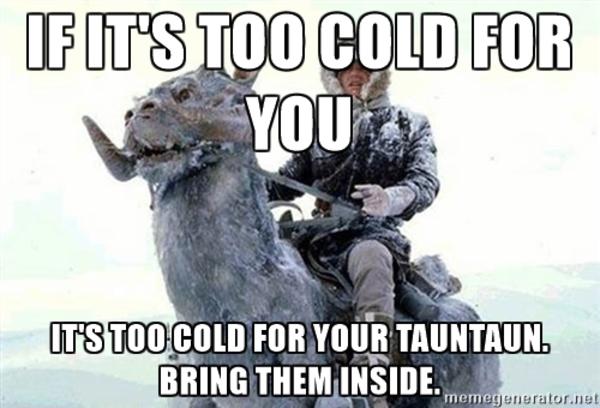 If it's too cold for you, it's too cold for your tauntaun. | If You're ...