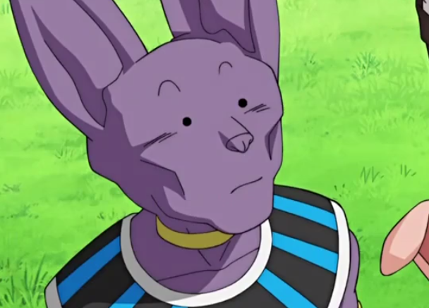 Dbz Beerus Funny