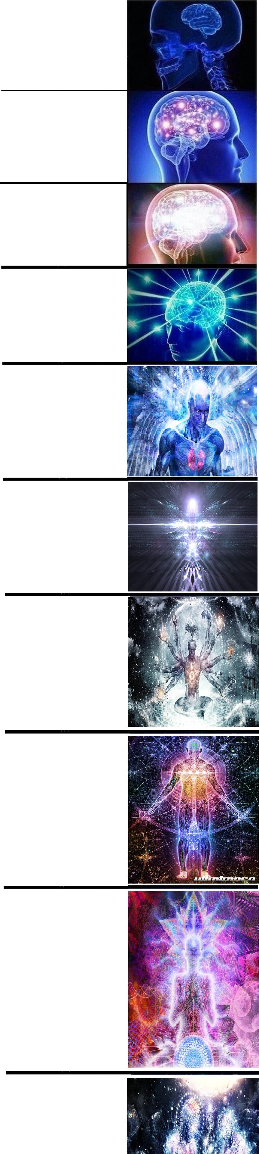 Brain Meme Template