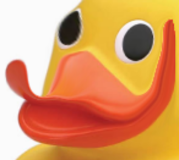 Quack. | Reaction Images | Know Your Meme