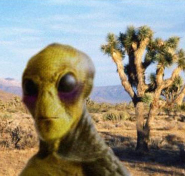 alien real | 4chan Alien Sighting Hoax | Know Your Meme