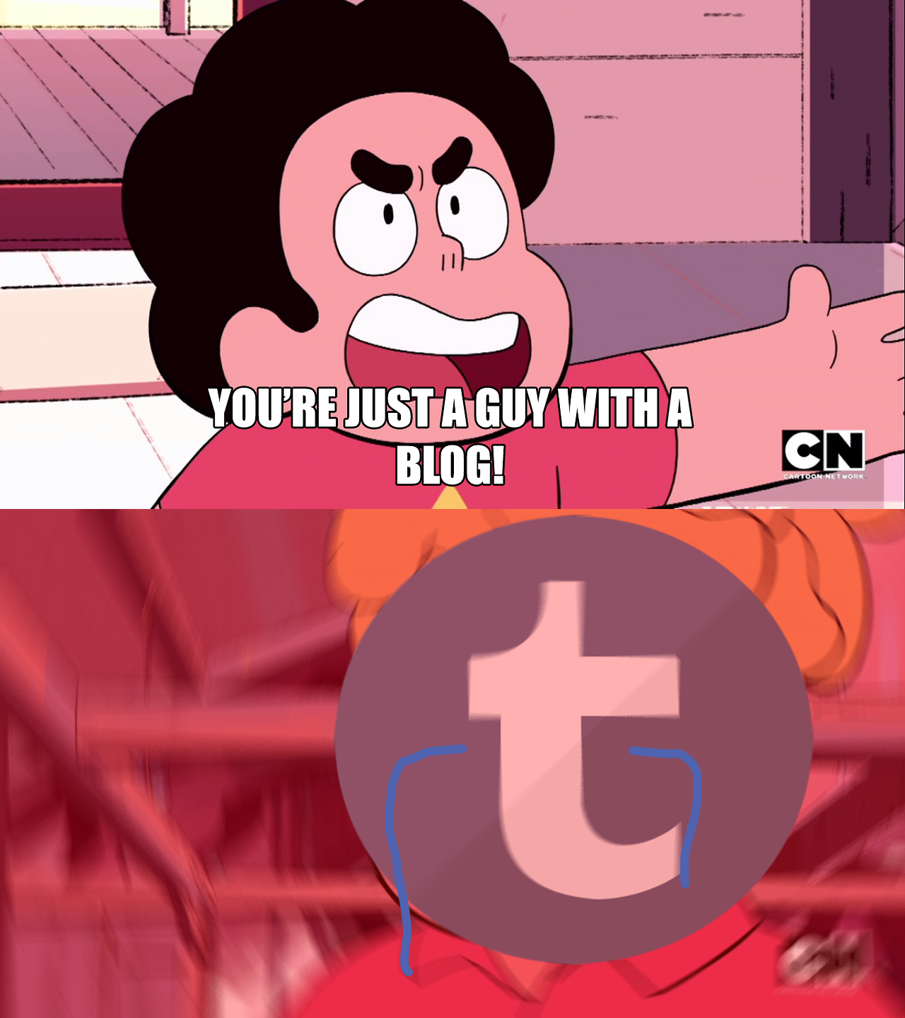 The SU Fans With Tumblr Accounts | Steven Universe | Know Your Meme