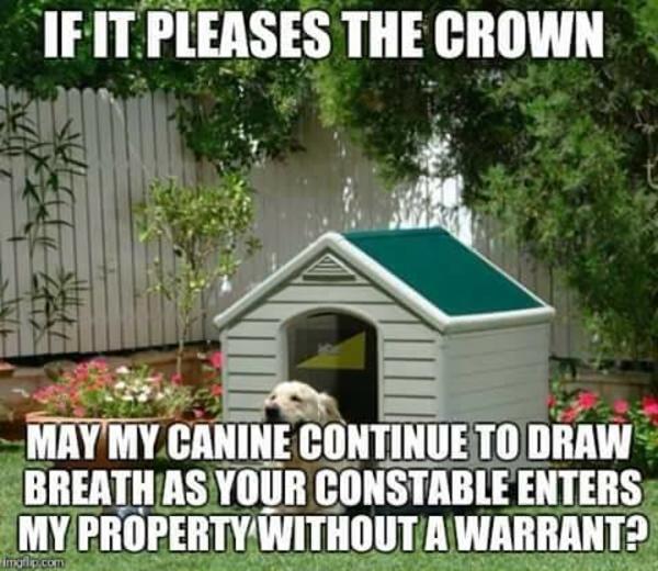 May my canine continue to draw breath as your constable enters my ...