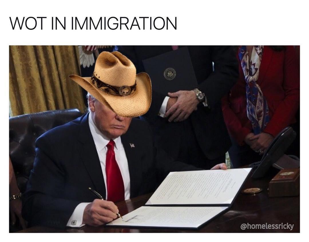 Wot in immigration | What in Tarnation | Know Your Meme