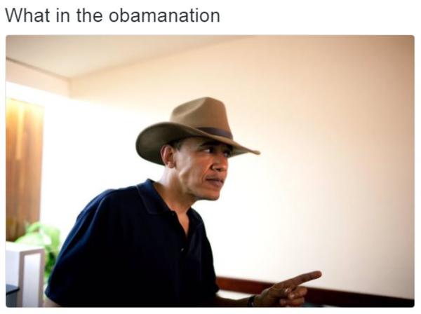 Obamanation | What in Tarnation | Know Your Meme