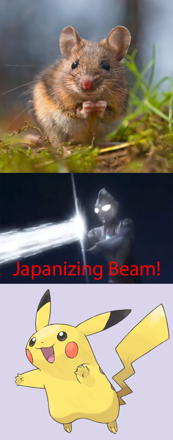 Japanizing beam | Japanizing Beam! | Know Your Meme