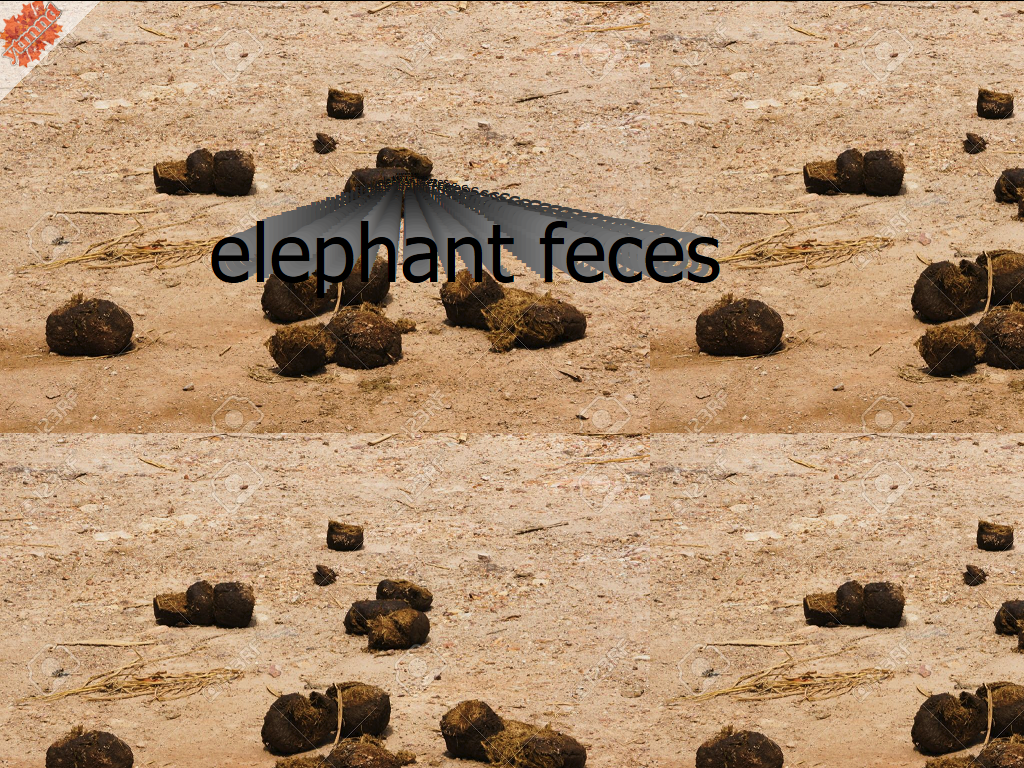 elephant feces | YTMND | Know Your Meme