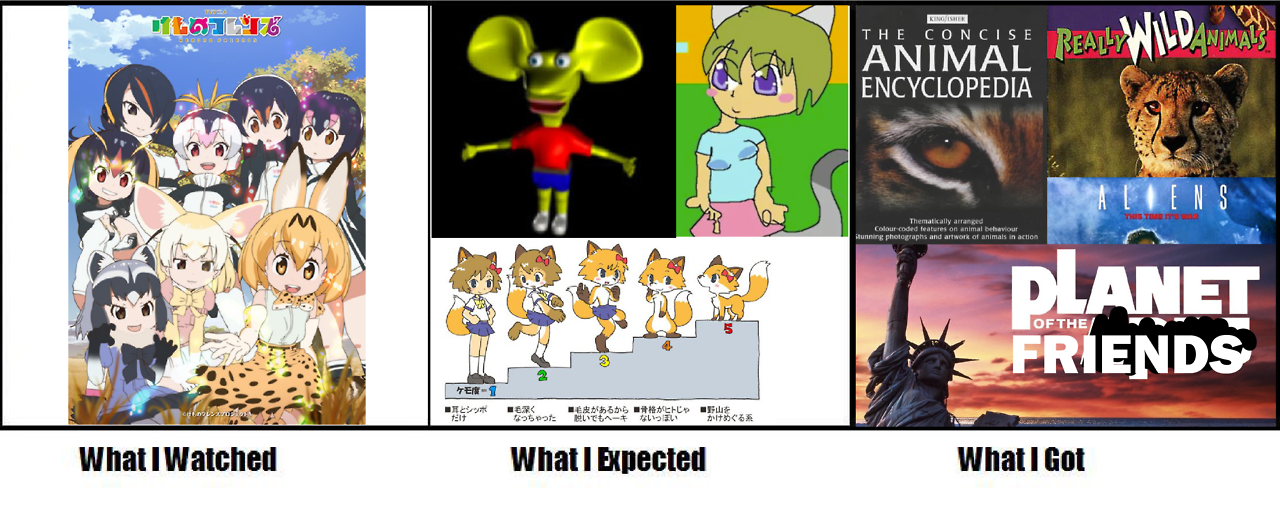 What I watched What I expected What I got | Kemono Friends | Know Your Meme