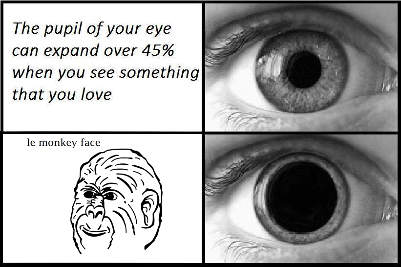 Le Monkey Face | Expanding Pupil | Know Your Meme