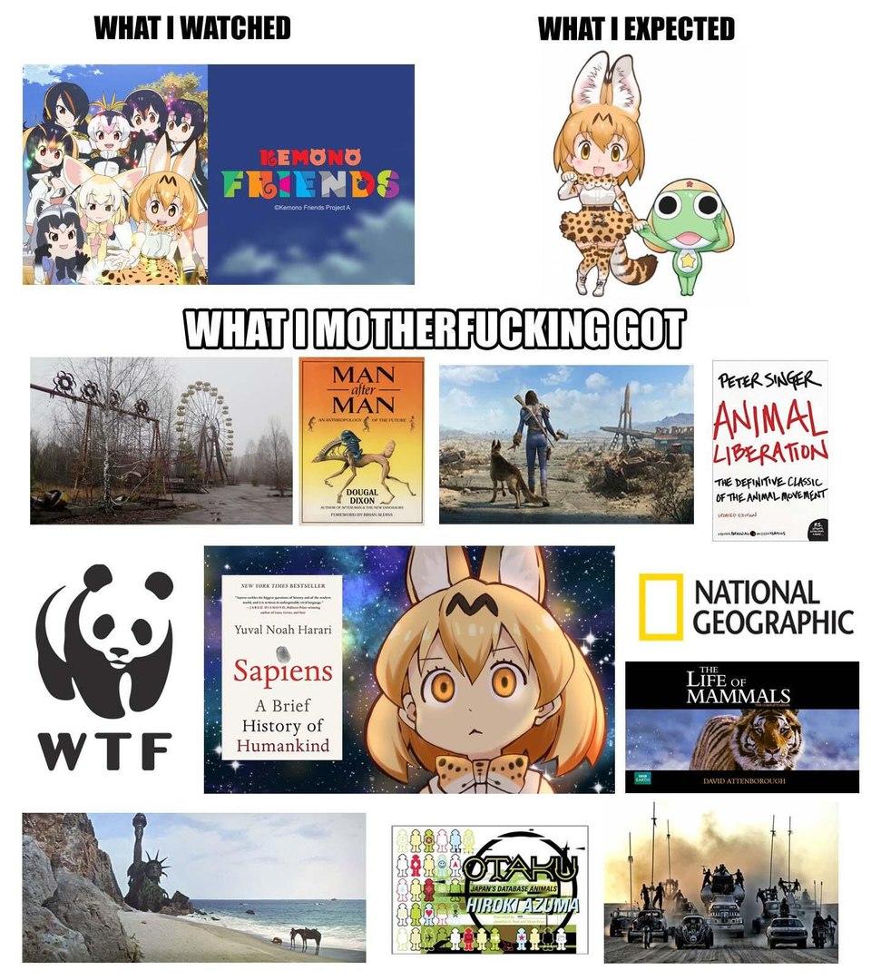 What I watched What I expected What I got | Kemono Friends | Know Your Meme