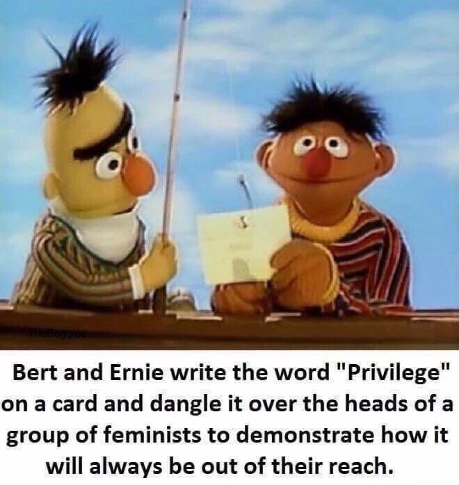 Privilege | Bertstrips | Know Your Meme