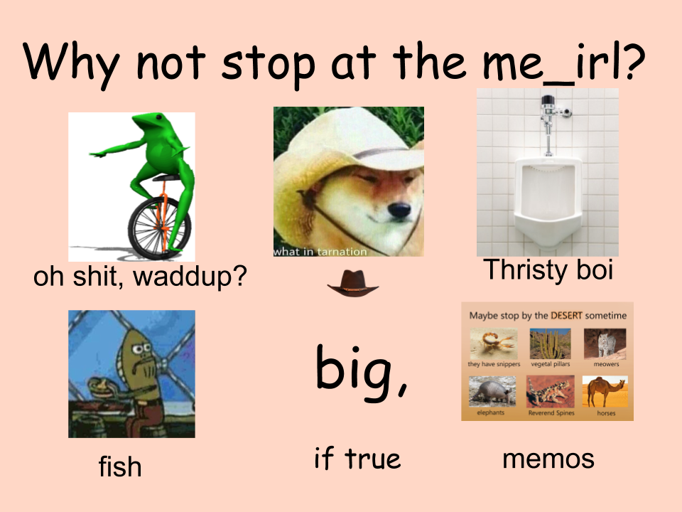 Why not stop at me_irl? | "Why Not Visit?" Edits | Know Your Meme