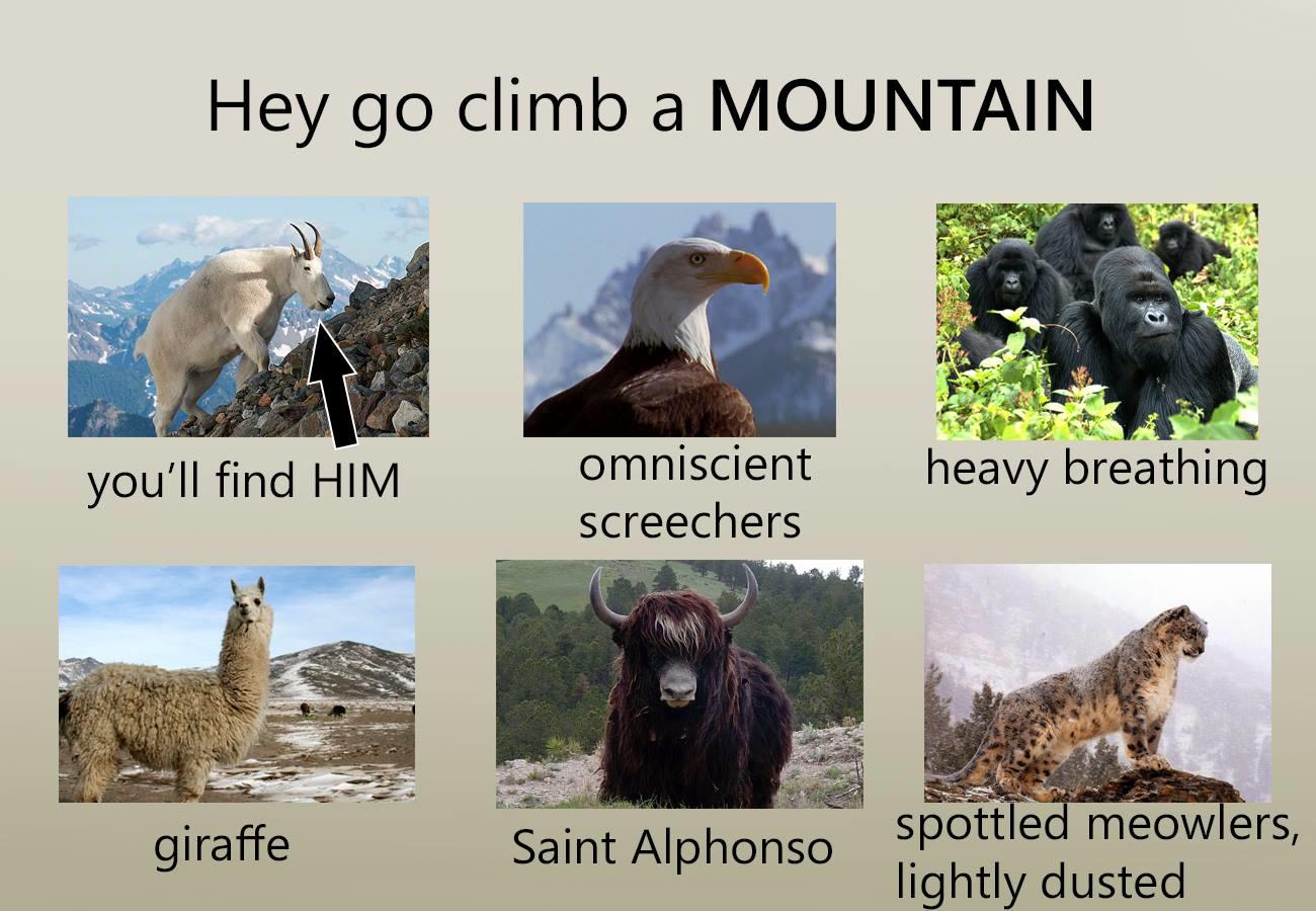Hey go climb a MOUNTAIN | "Why Not Visit?" Edits | Know Your Meme