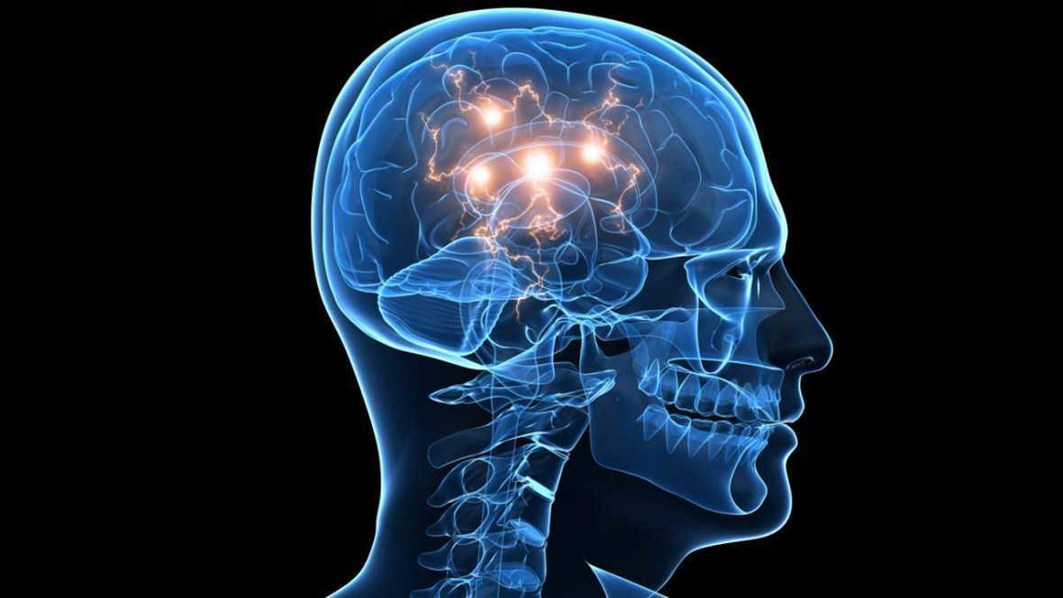 Nova Science How Does The Brain Work Galaxy Brain Know Your Meme