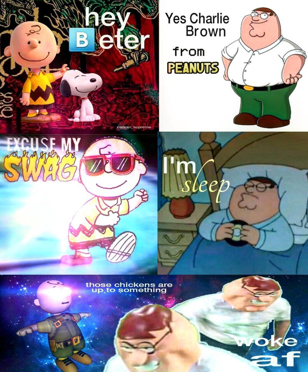 Those Chickens Are Up to Something | Hey Beter | Know Your Meme