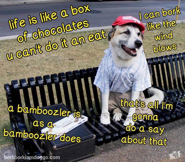 Forrest Doggo | Bamboozle | Know Your Meme