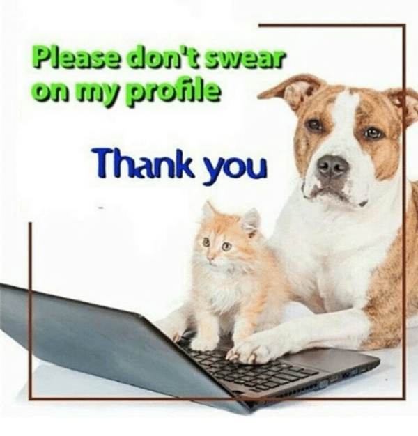 Dog and Cat | Please Do Not Swear On My Profile, Thanks | Know Your Meme