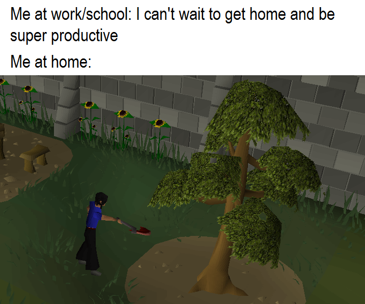 runescape_irl | RuneScape | Know Your Meme