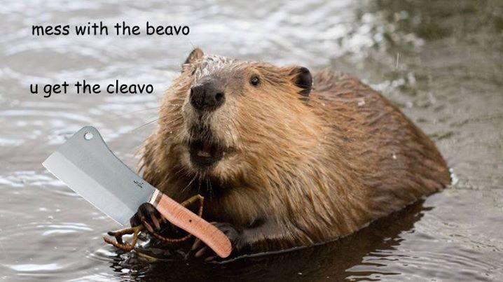 Mess With Beavo | You Mess With Crabo, You Get a Stabo | Know Your Meme