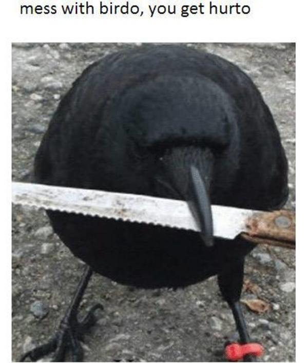 birdo | You Mess With Crabo, You Get a Stabo | Know Your Meme