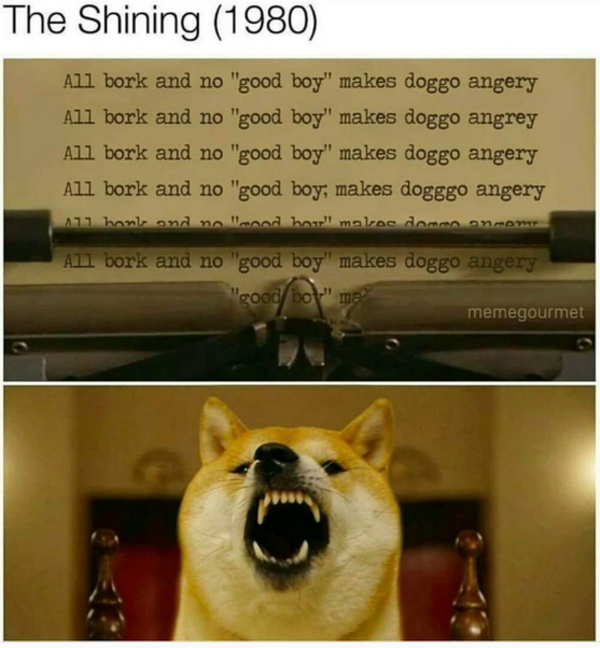 All bork and no "good boy" makes doggo angery | Dogs | Know Your Meme