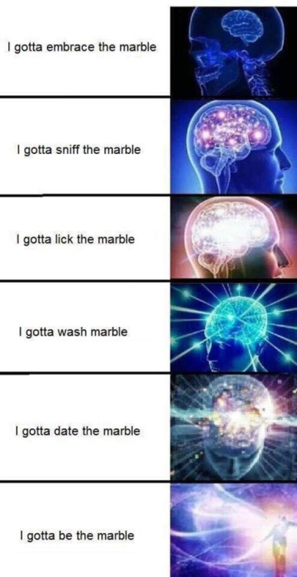 Embrace The Expanding Brain | Galaxy Brain | Know Your Meme