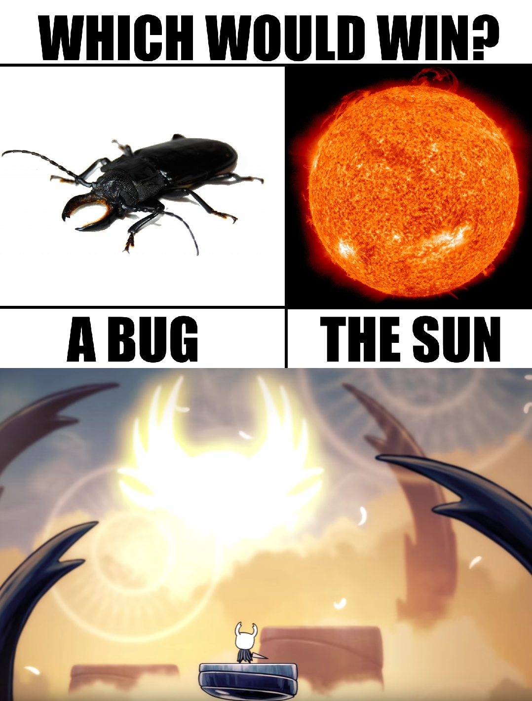 Hollow Knight in a nutshell | Hollow Knight | Know Your Meme