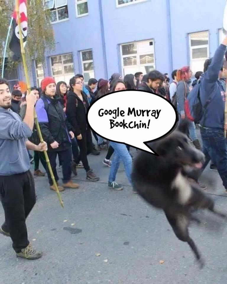 Google Murray Bookchin Dog | Google Murray Bookchin | Know Your Meme