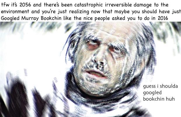 should have googled bookchin | Google Murray Bookchin | Know Your Meme