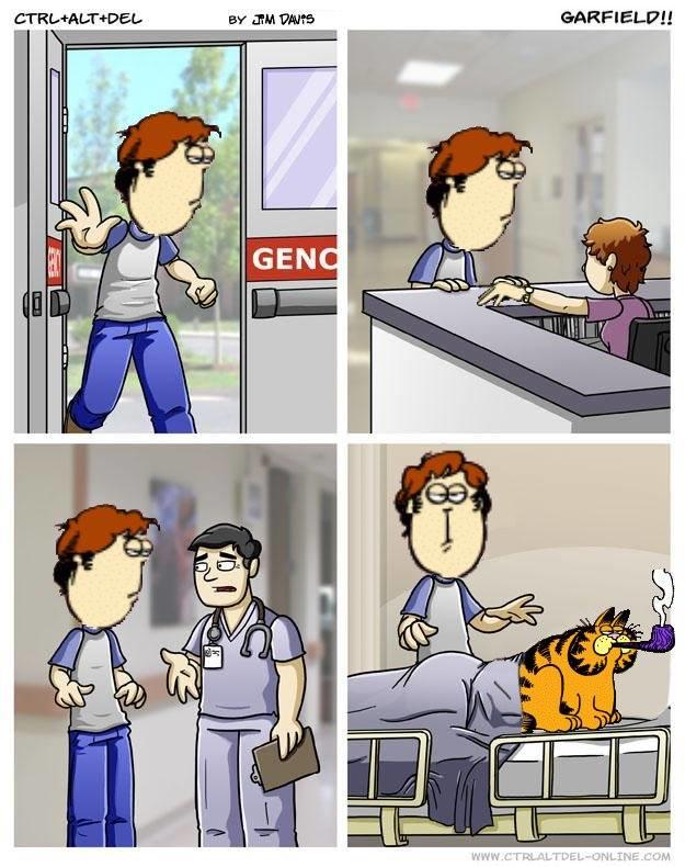 GARFIELD!! | Loss | Know Your Meme