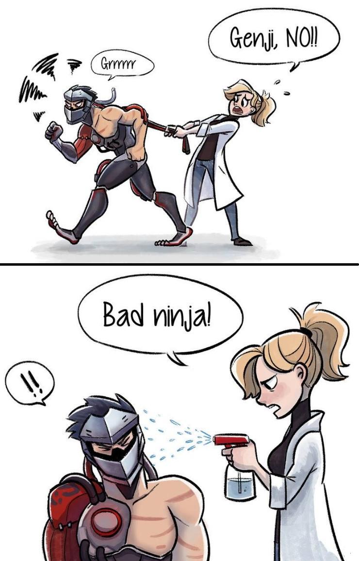 Bad Genji Overwatch Know Your Meme