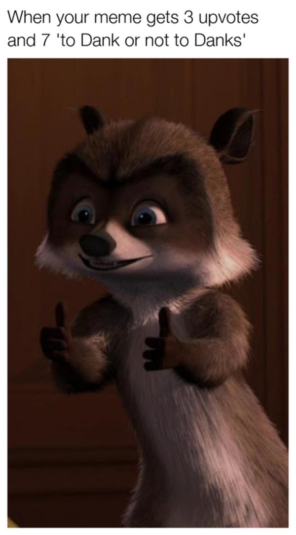 Over the hedge is a success I swear | Over the Hedge | Know Your Meme