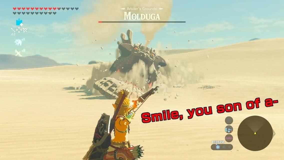 You're gonna need a bigger sand seal. | The Legend of Zelda: Breath of ...