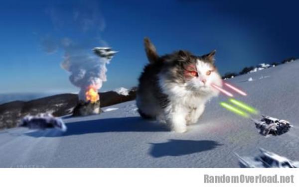 Oh Internet | Welcome to The Internet | Know Your Meme