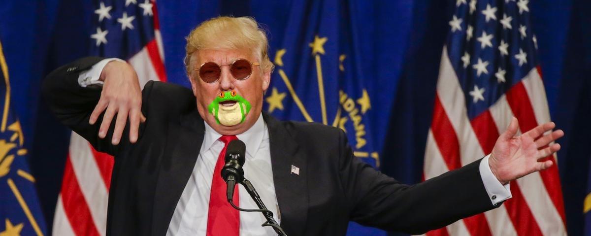 President Frog says he will legalize marijuana | Donald Trump's Frog ...