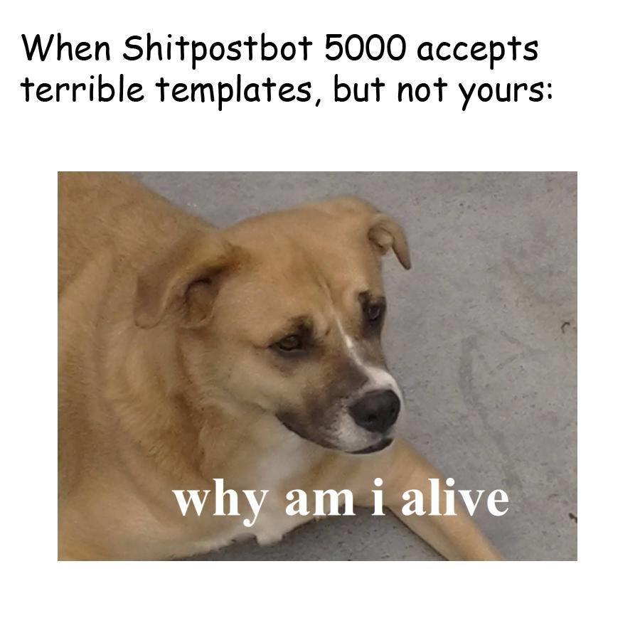 why am i alive | ShitpostBot 5000 | Know Your Meme