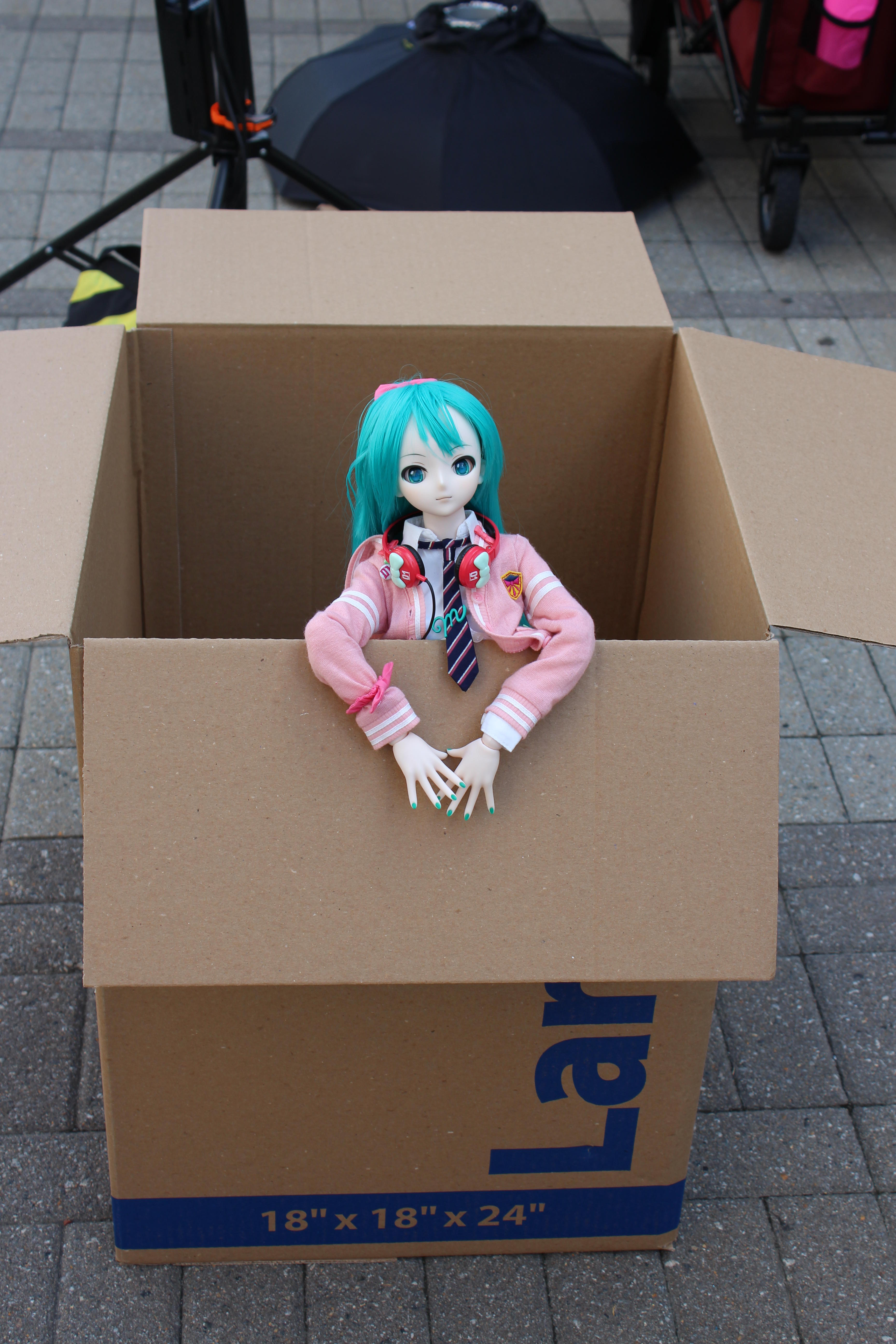 Miku-chan! What are you doing in that box ↀωↀ | Hatsune Miku / Vocaloid ...