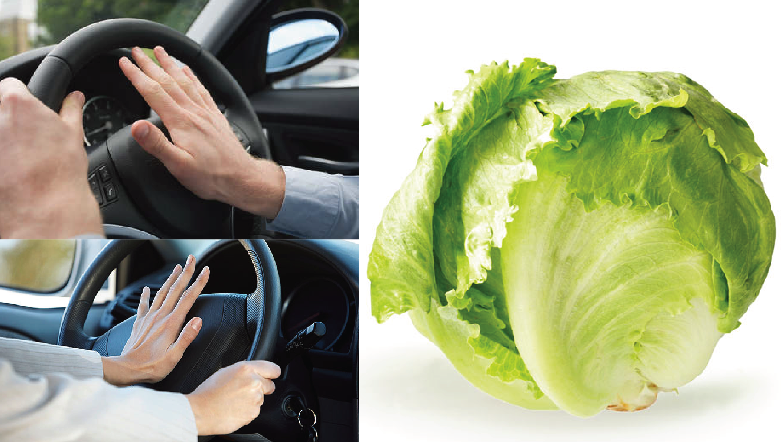 image version 2 | Beep Beep Lettuce | Know Your Meme